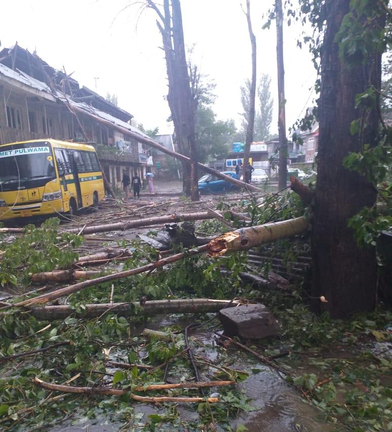 Hail, Wind Storm Rip Through Crops In South, Central Kashmir - The ...